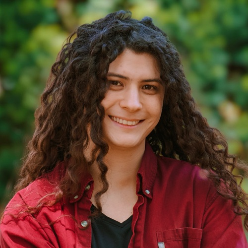 Services - Bridging With Support